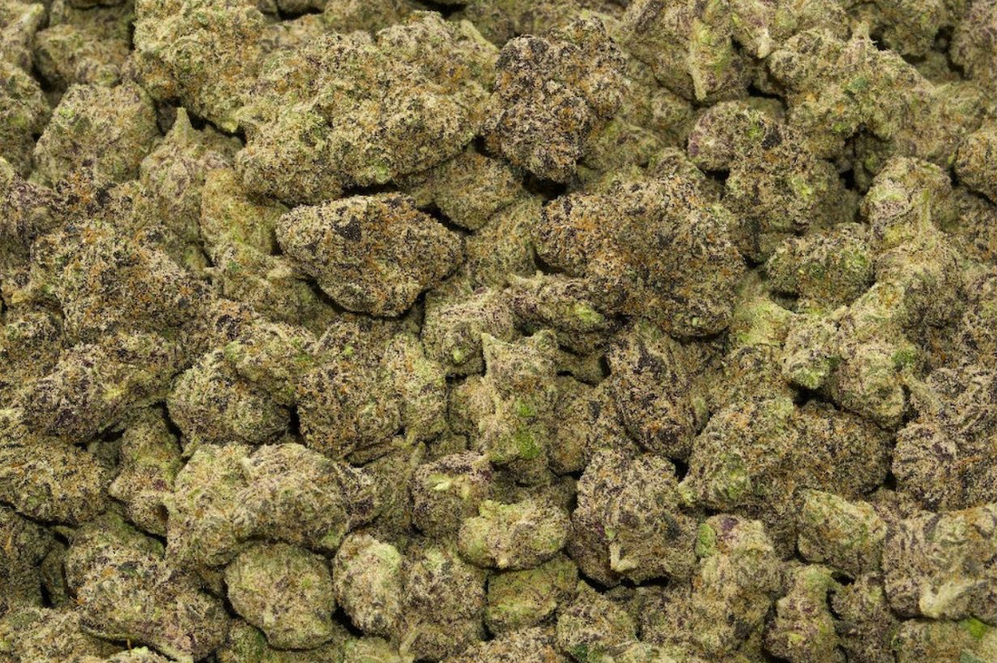 Gumbo – Herban Bud